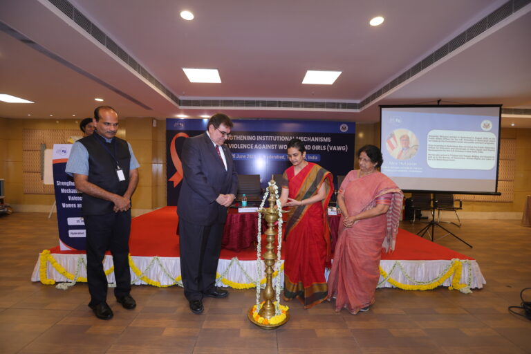 Strengthening Institutional Mechanisms Combating Violence Against Women ...